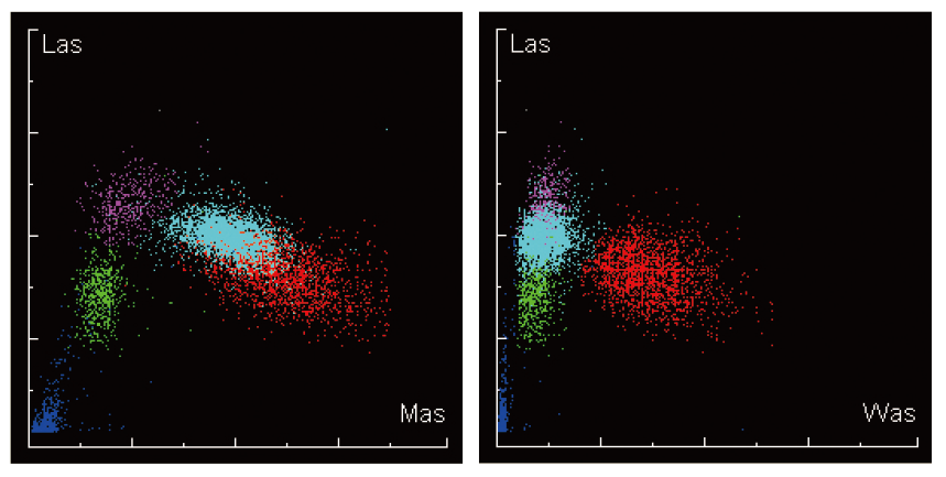 Veterinary Auto Hematology Analyzer Mindray BC-5000 VET | BIOMED